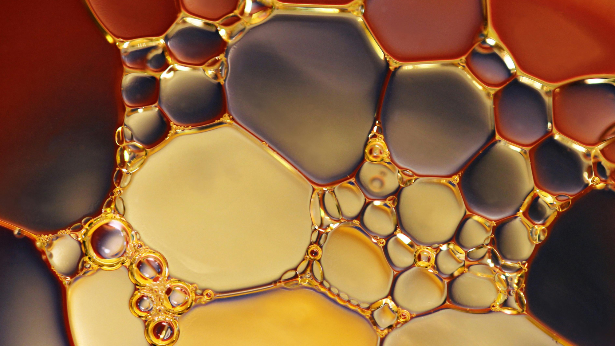 When AI Peer Review Meets Hidden Prompts: A New Challenge for Research ...